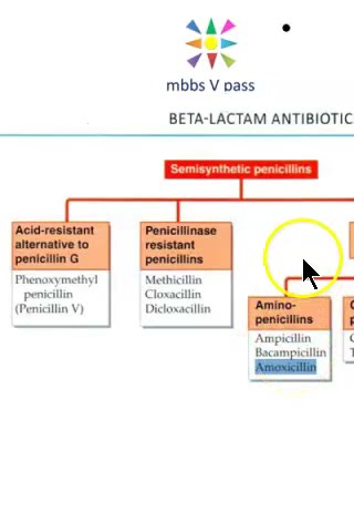 Pharmacology Mechanism Amoxicillin viva - YouTube