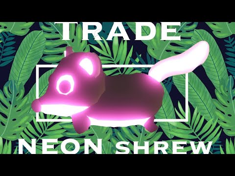 Trade NEON shrew. ТОП трейды Адопт ми, by straw - YouTube