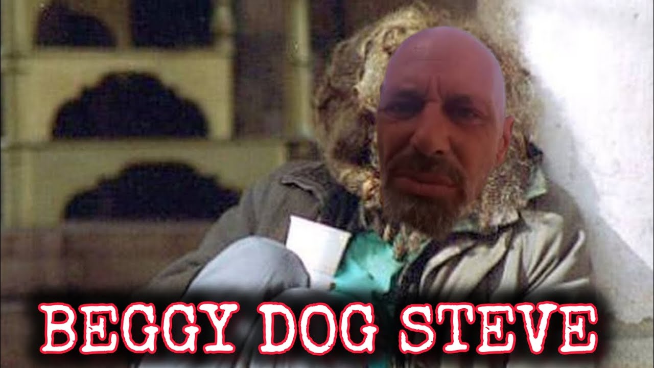 BEGGY STEVE THE DOG EATER #viral #shorts #funny #comedy #live #usa # ...