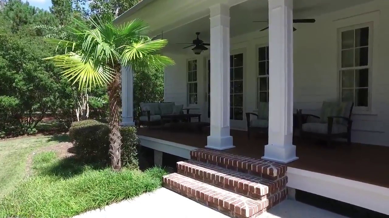 Indigo Colonial America