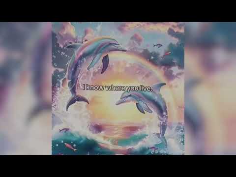 I just wanna be apart of your symphony // TikTok dolphin trend edit //