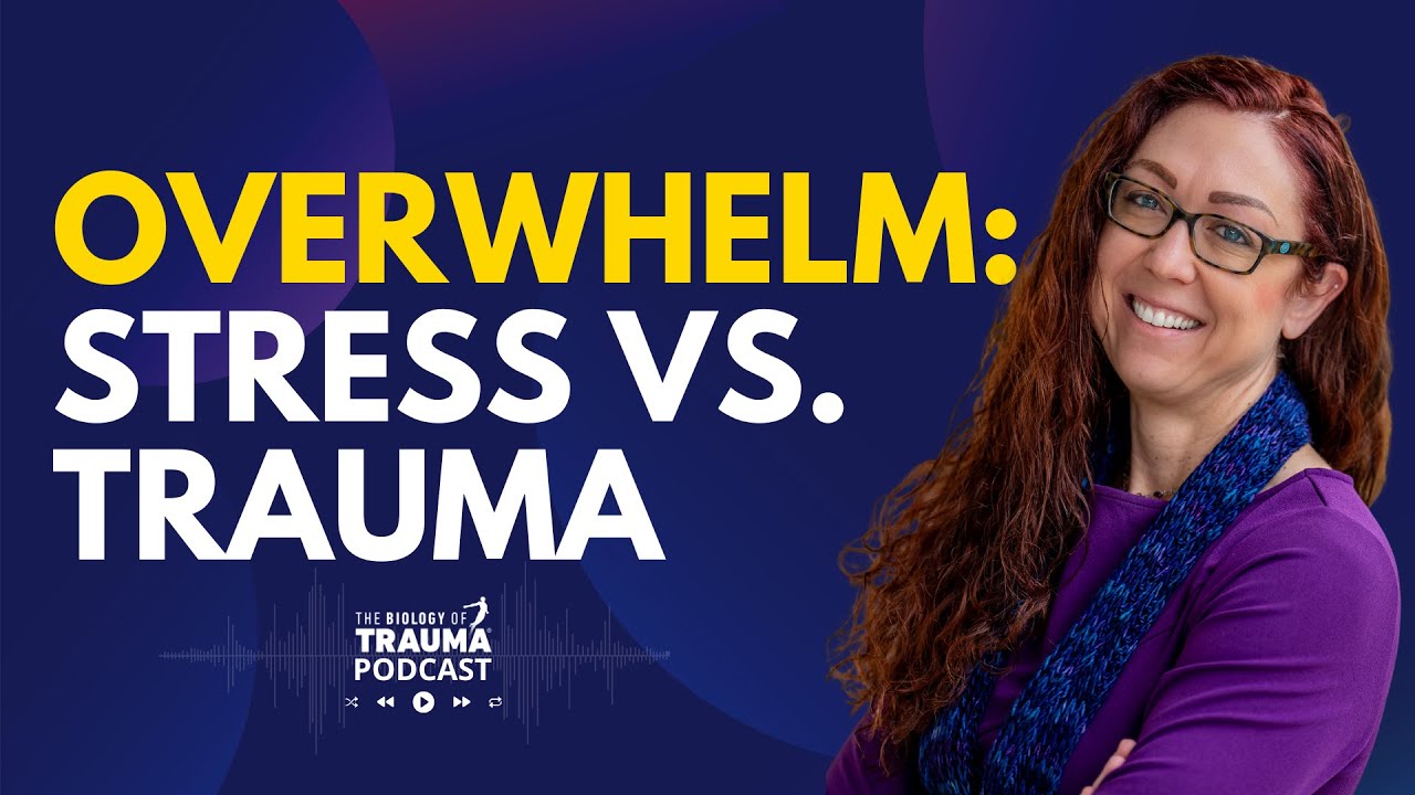 Science of Overwhelm: Stress vs. Trauma Explained | Dr. Aimie Apigian ...