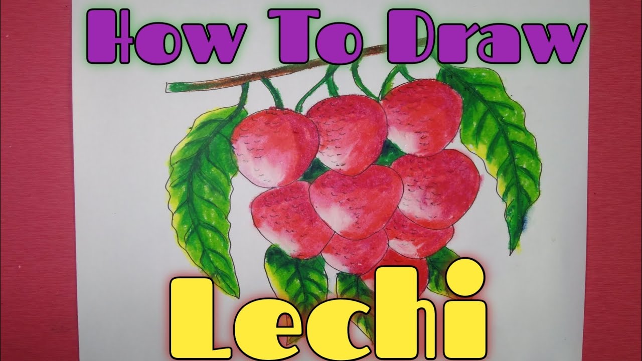 How To Draw Lichi ll Class-13ll Stap by Step Drawing ll SD ART HOUSE# ...