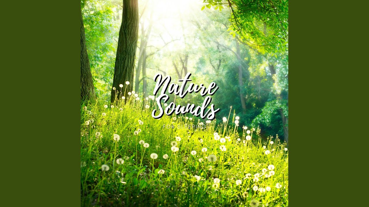 Nature Feel - YouTube