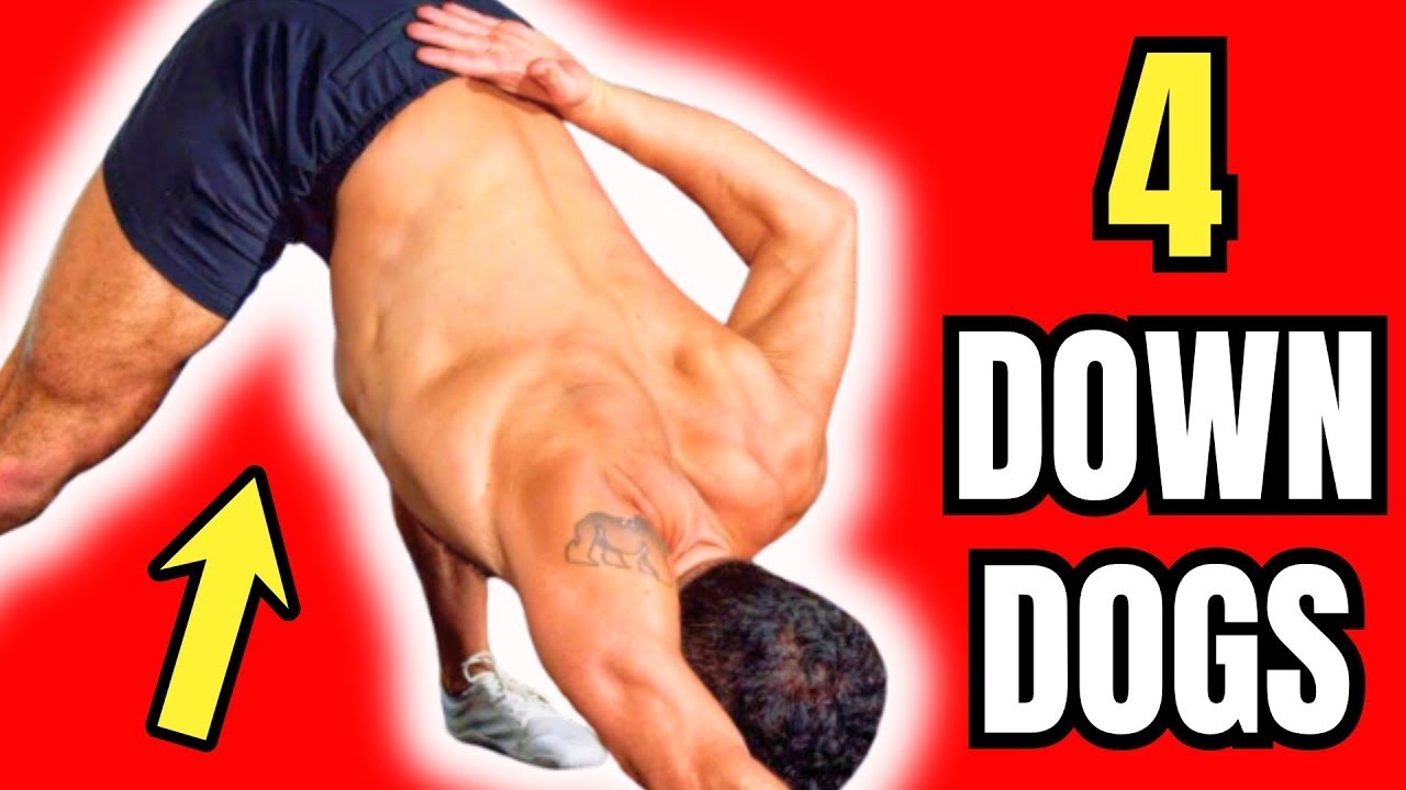Stretch Shoulders & Hips Plus Strengthen Core with 4 Downward Dogs - YouTube