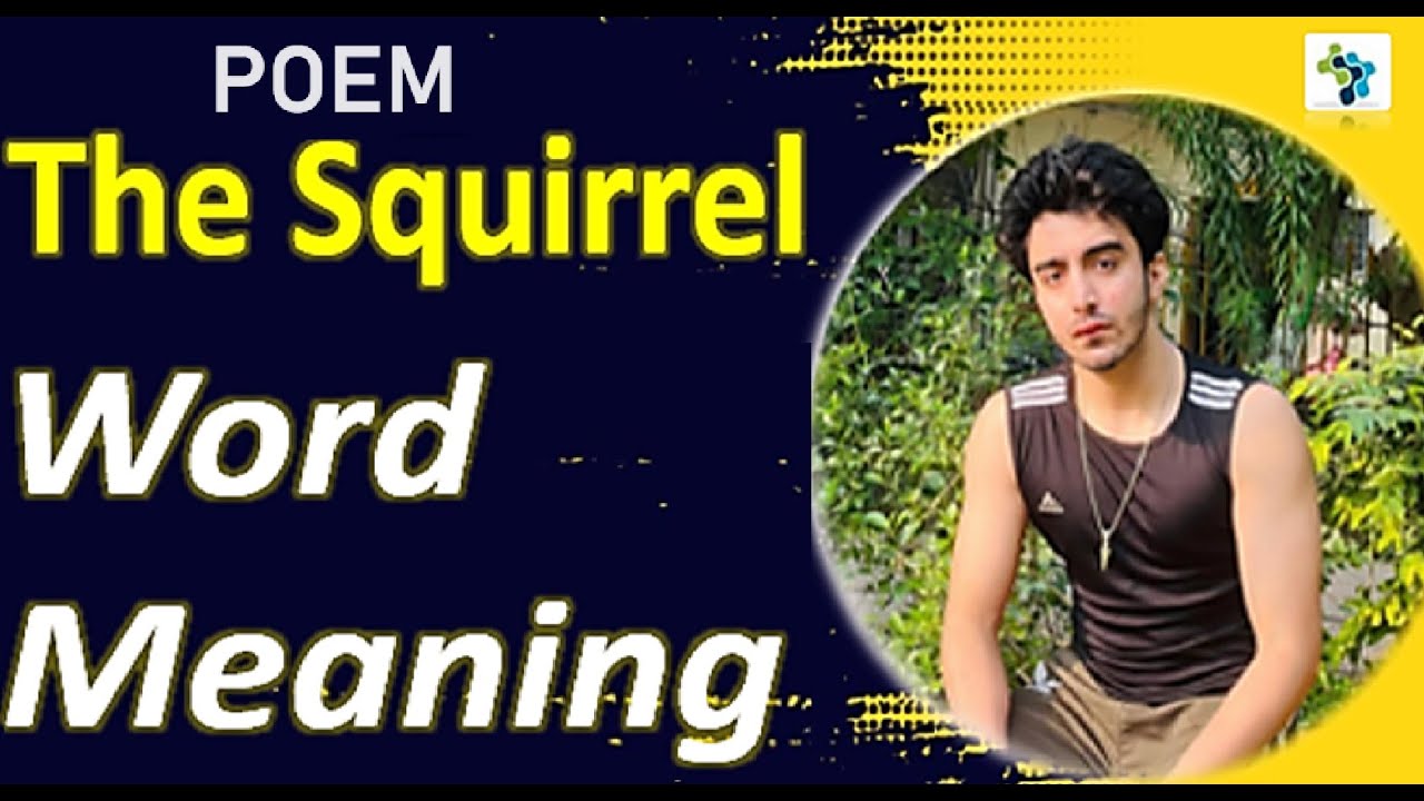 POEM 1 The Squirrel Word Meaning Class 7 The Squirrel Poem Word poem-1-the-squirrel-word-meaning-class-7-the-squirrel-poem-word