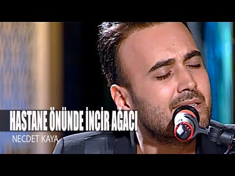 Necdet Kaya - Hastane Önünde İncir Ağacı