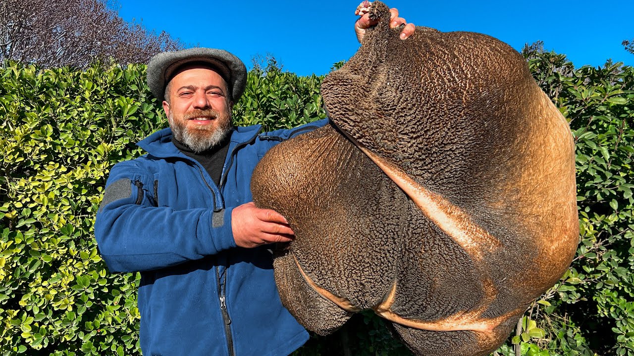 Insane Stuffed Beef Stomach! 🍖🔥 The Most Flavorful Meat Recipe! - YouTube