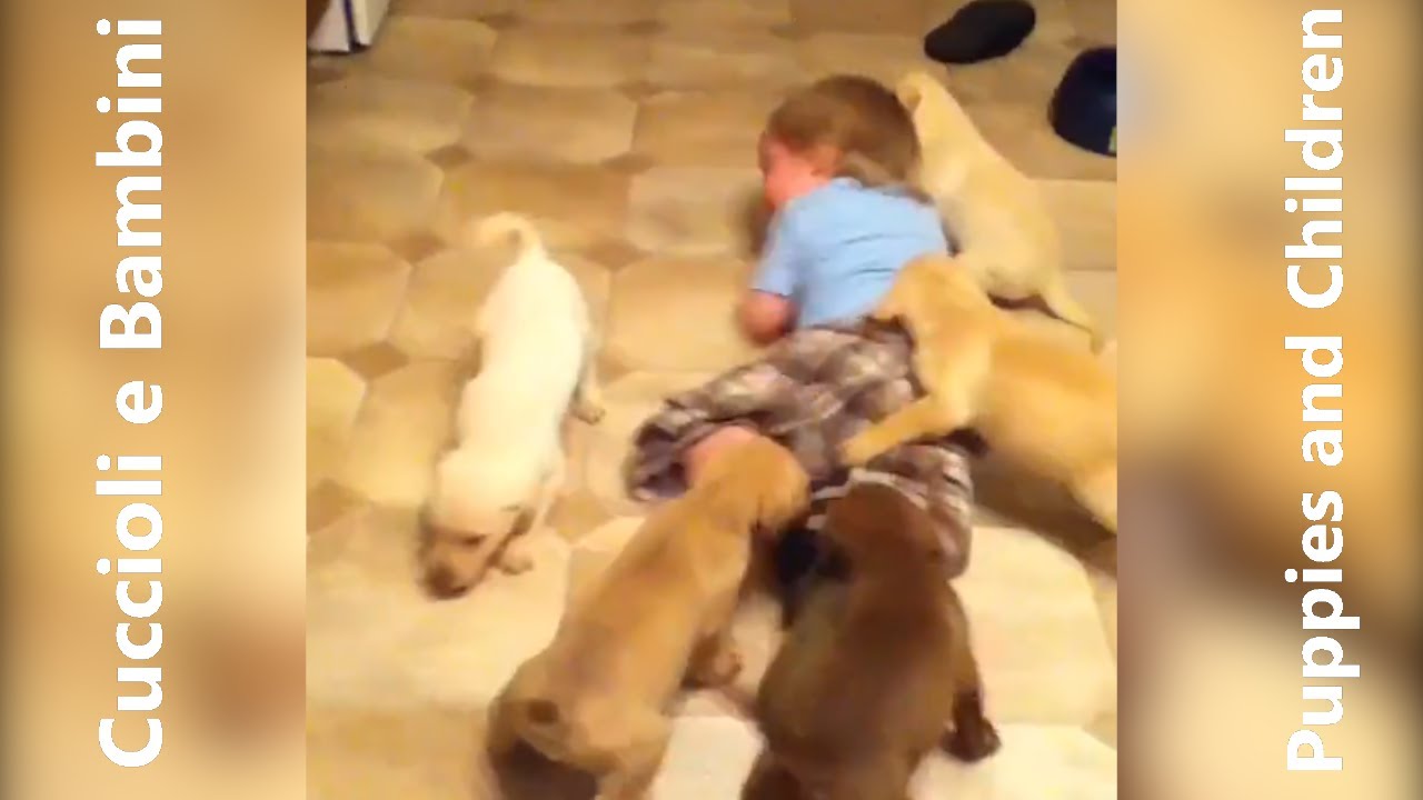 Cuccioli e Bambini Bellissimi e Buffi - YouTube