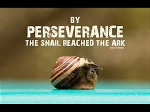 Diva Thoughts - Faster is Not Always Better music Jose Polo - YouTube