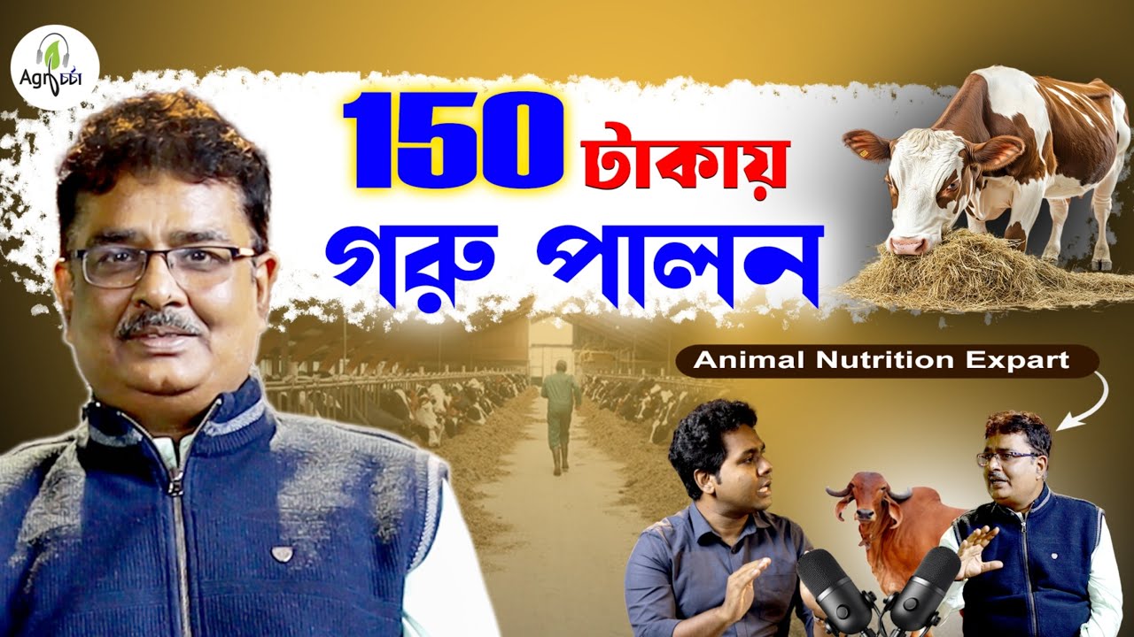150 টাকায় গরু পালনের পদ্ধতি | Cow Farming | Animal Nutrition expert ...