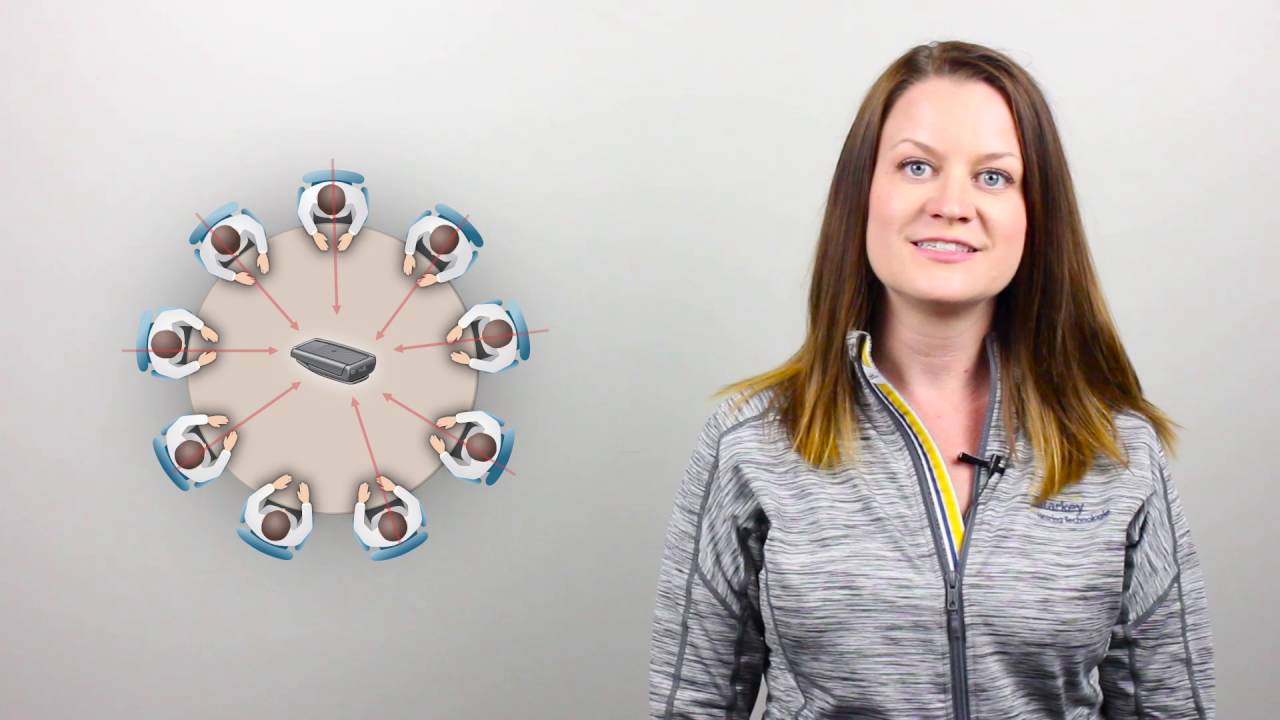 Starkey: Optimizing Communication with the SurfLink Remote Microphone ...