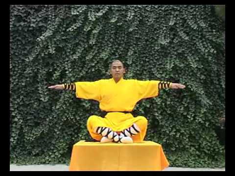 shaolin xi sui gong 2 - YouTube