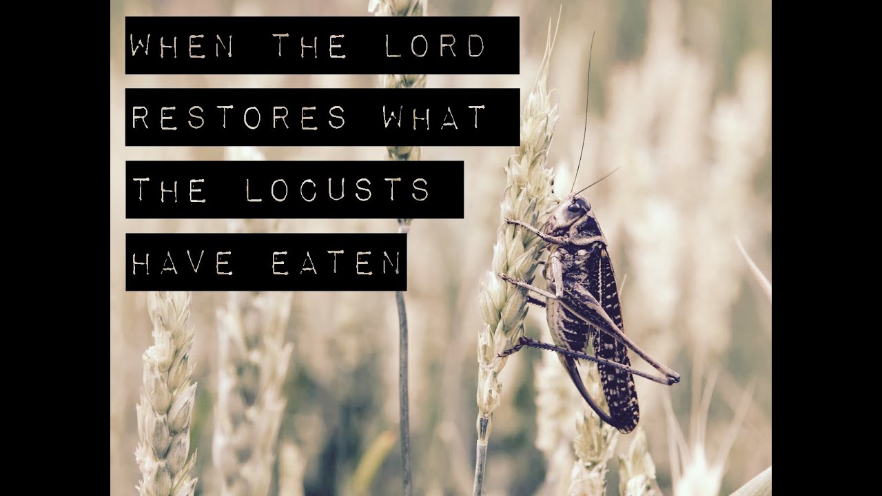 When the Lord Restores What the Locusts Have Eaten | Sunday, November 6 ...