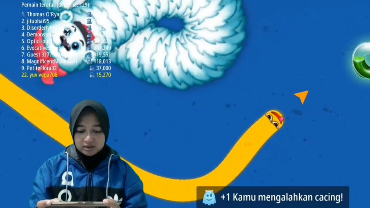 Berburu cacing besar alaska guys | wormzone - YouTube