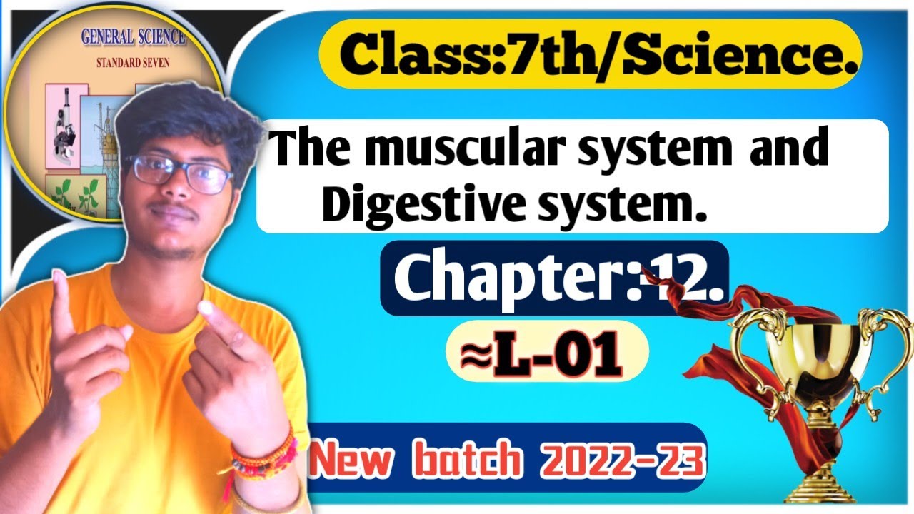 L-01) 12- The muscular system and Digestive system in Human beings.. !! Std:-9th !! science ...