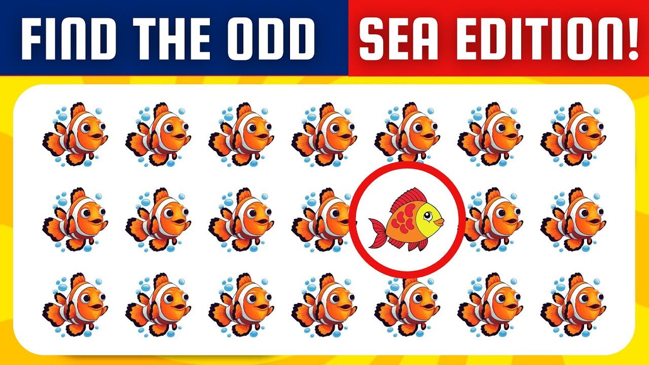 Find the ODD One Out - Sea Edition! 🐬🐚🦑 - YouTube