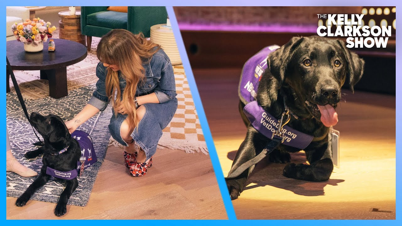 Kelly Clarkson Meets NBCU's Service Puppy-In-Training Atlas - YouTube