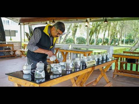 Tea Tasting I Lockhart Tea Factory I Munnar - YouTube