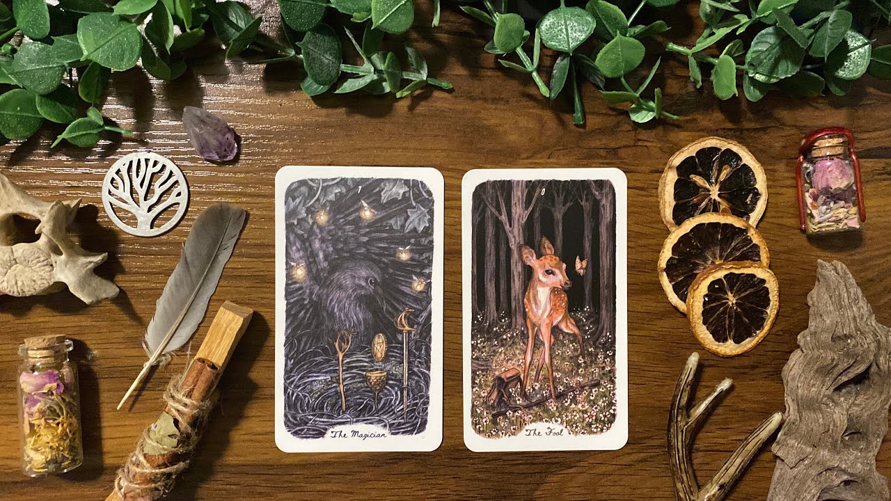 Oak, Ash & Thorn : Three Trees Tarot Deck | Unboxing + Flip Through ...