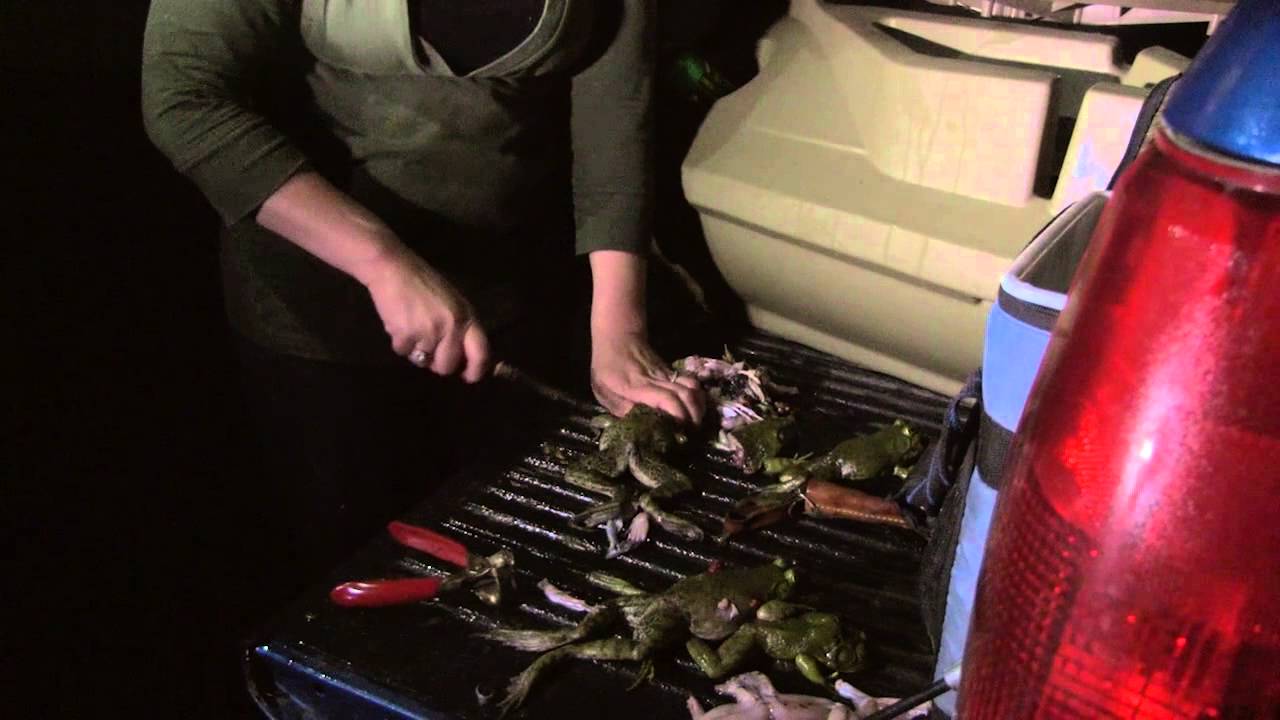 Frog Processing | Indiana DNR - YouTube