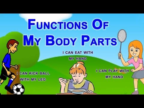 Uses of our body parts | What can you do with your body | English ...