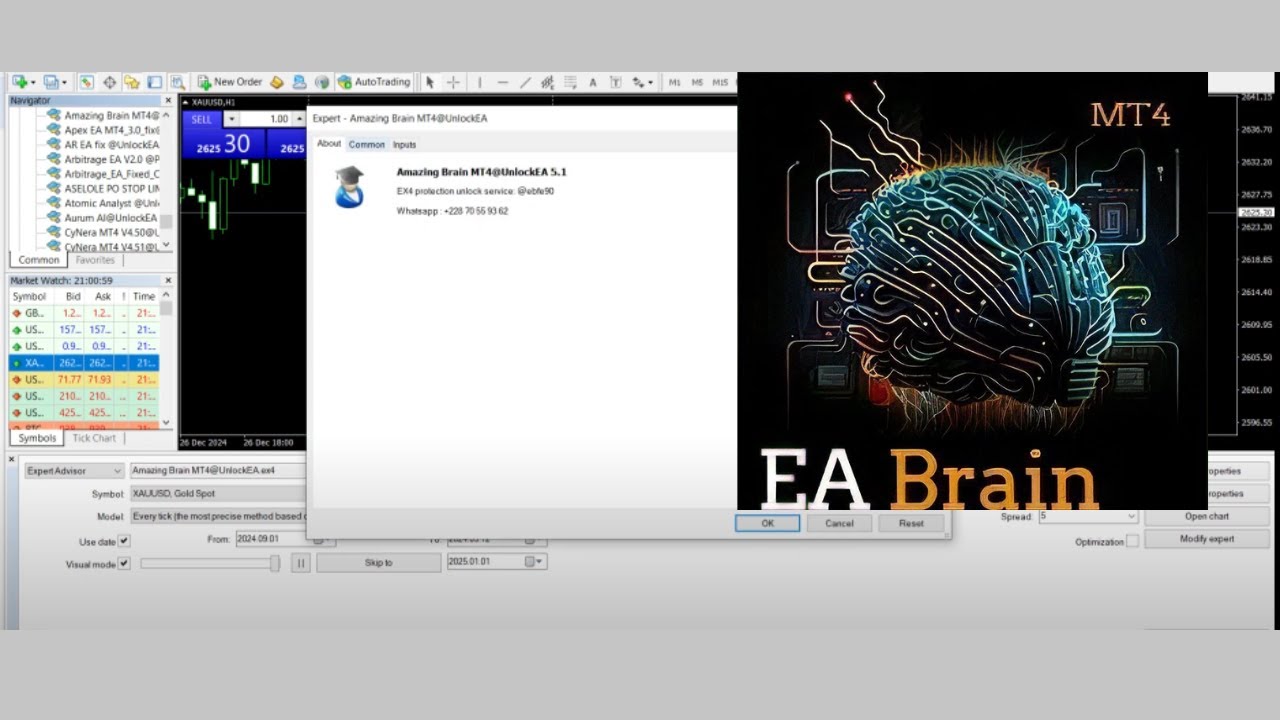 Amazing Brain MT4 EA | V5.1 | No DLL - YouTube
