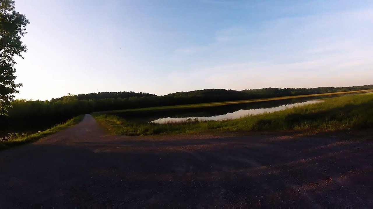 Gar pond (how do you catch them?) - YouTube