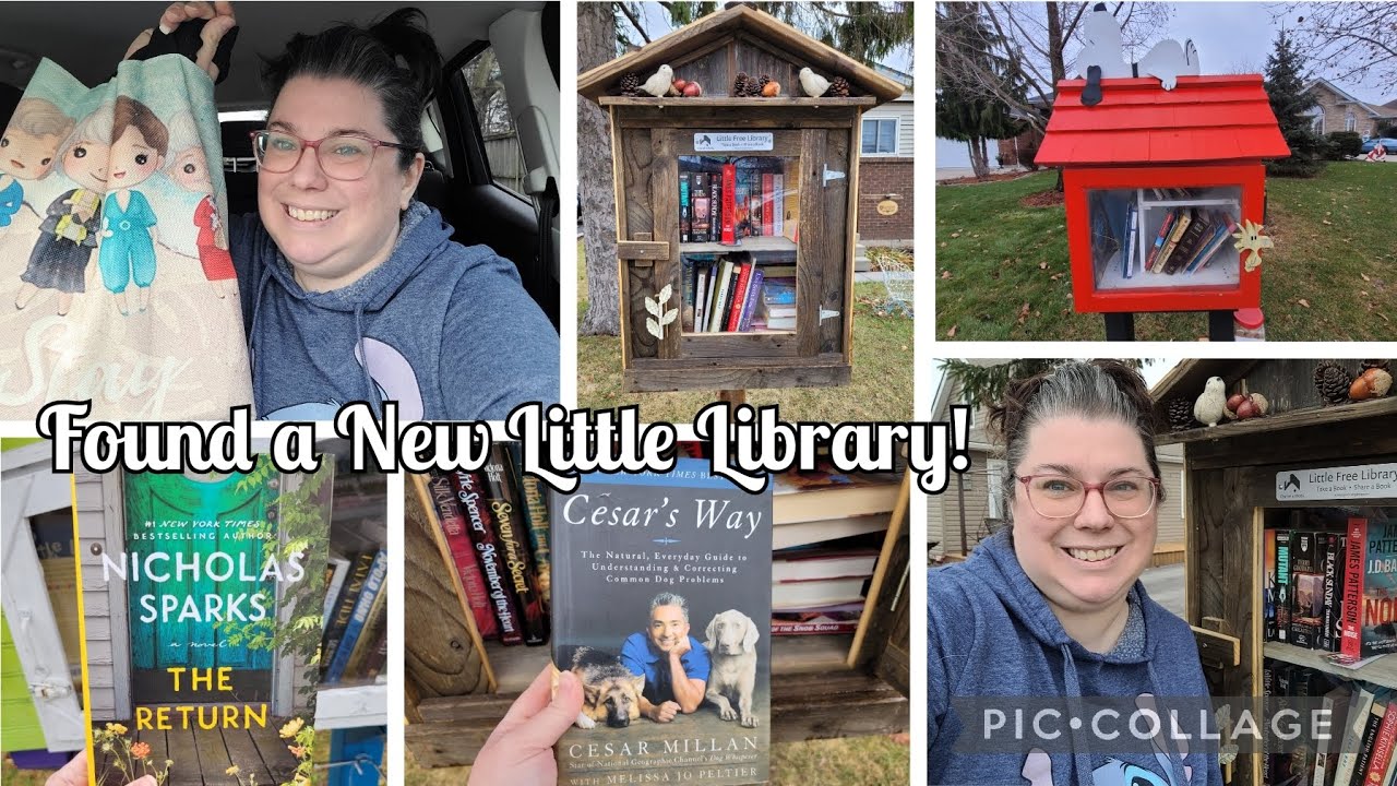 One Last Little Library Hunt of 2023! Found a new one! 5 different ...