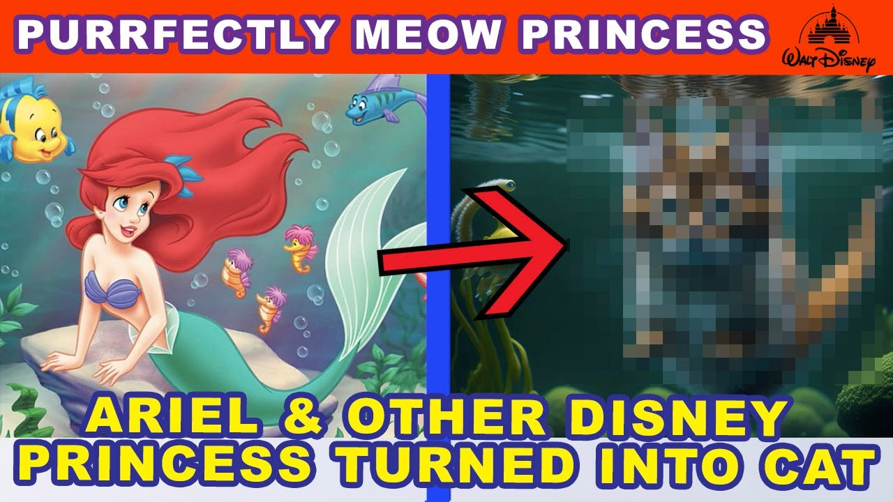 DISNEY'S PRINCESS AS KITTEN - MEOWGICAL DISNEY! ARIEL | ELSA ...