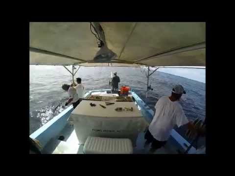 Red Snapper commercial fishing - YouTube