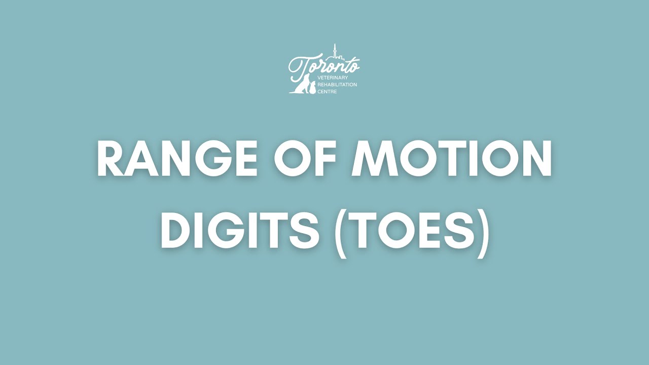 Range of motion - digits - YouTube