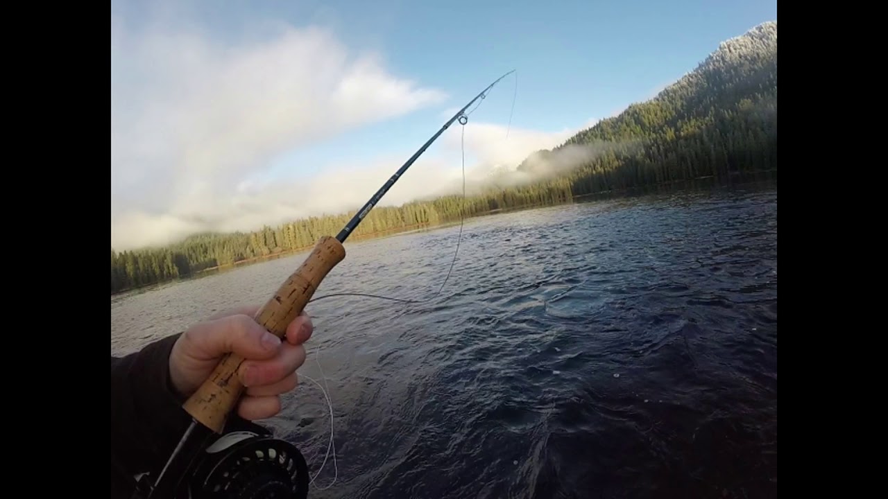 "Classic Catch and release" alaskan steelhead - YouTube