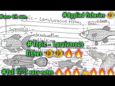 #Larvivorous fishes 🐠🐠🐠#msc zoology 4th sem #full हिंदी easy notes 🔥🔥 ️ ...