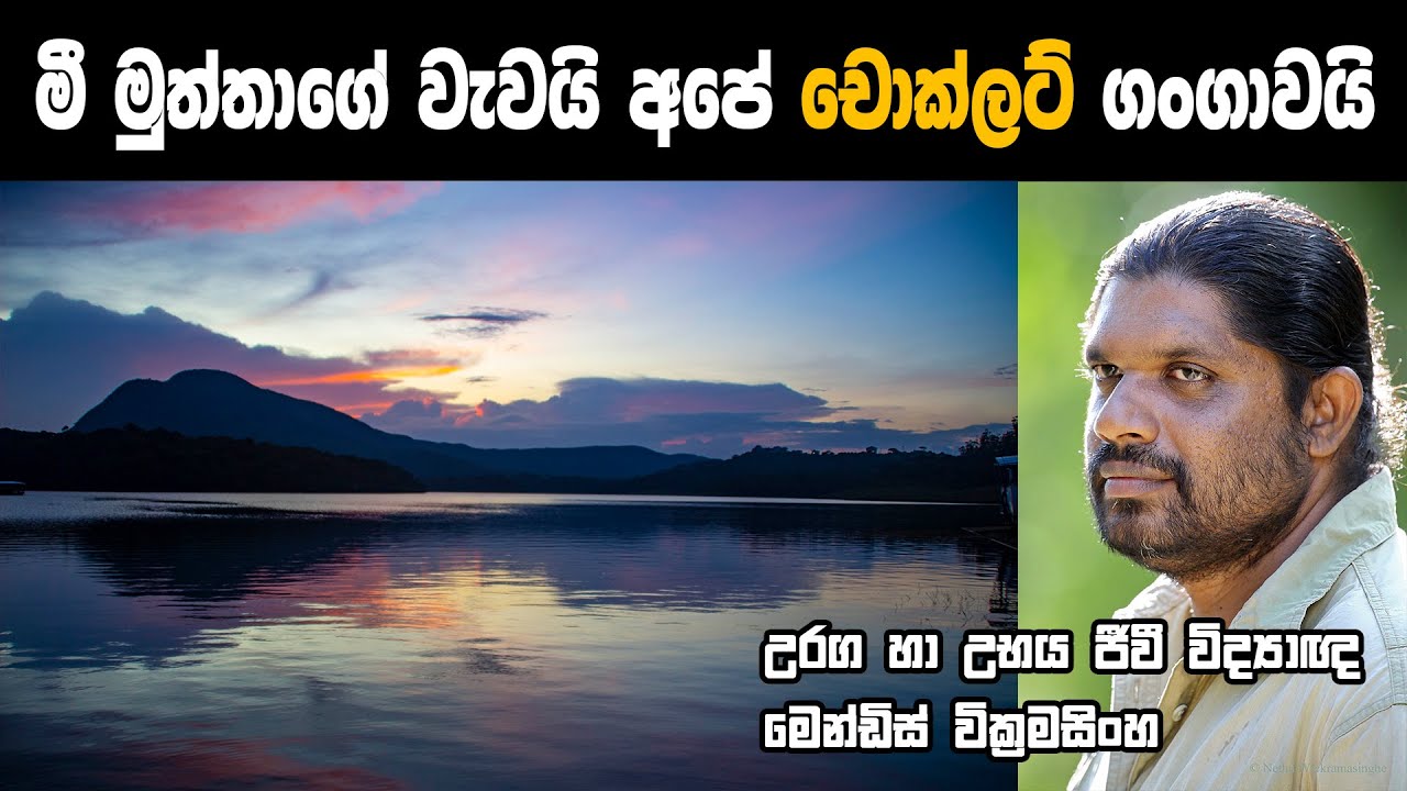 මී මුත්තාගේ වැව | Mendis Wickramasinghe | එල්ලංගාව - YouTube