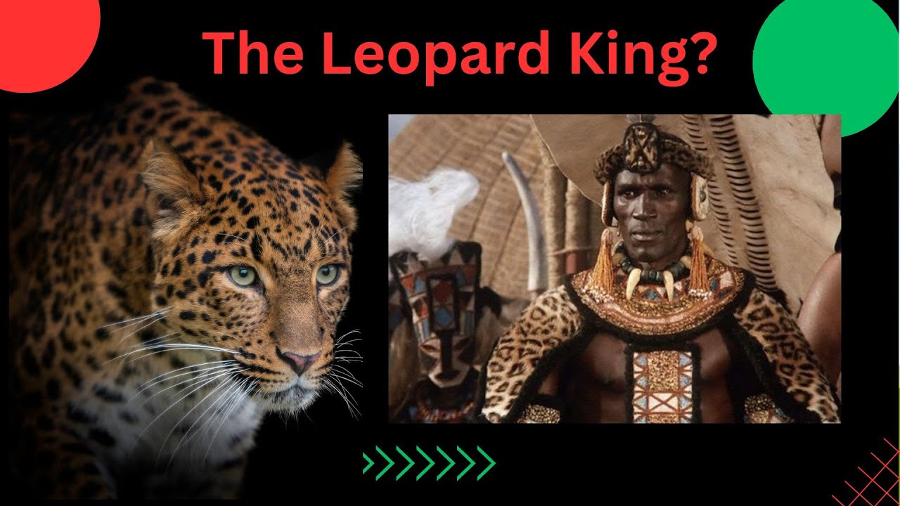 Shaka Zulu (Shocking tale of leopard with wings) - YouTube