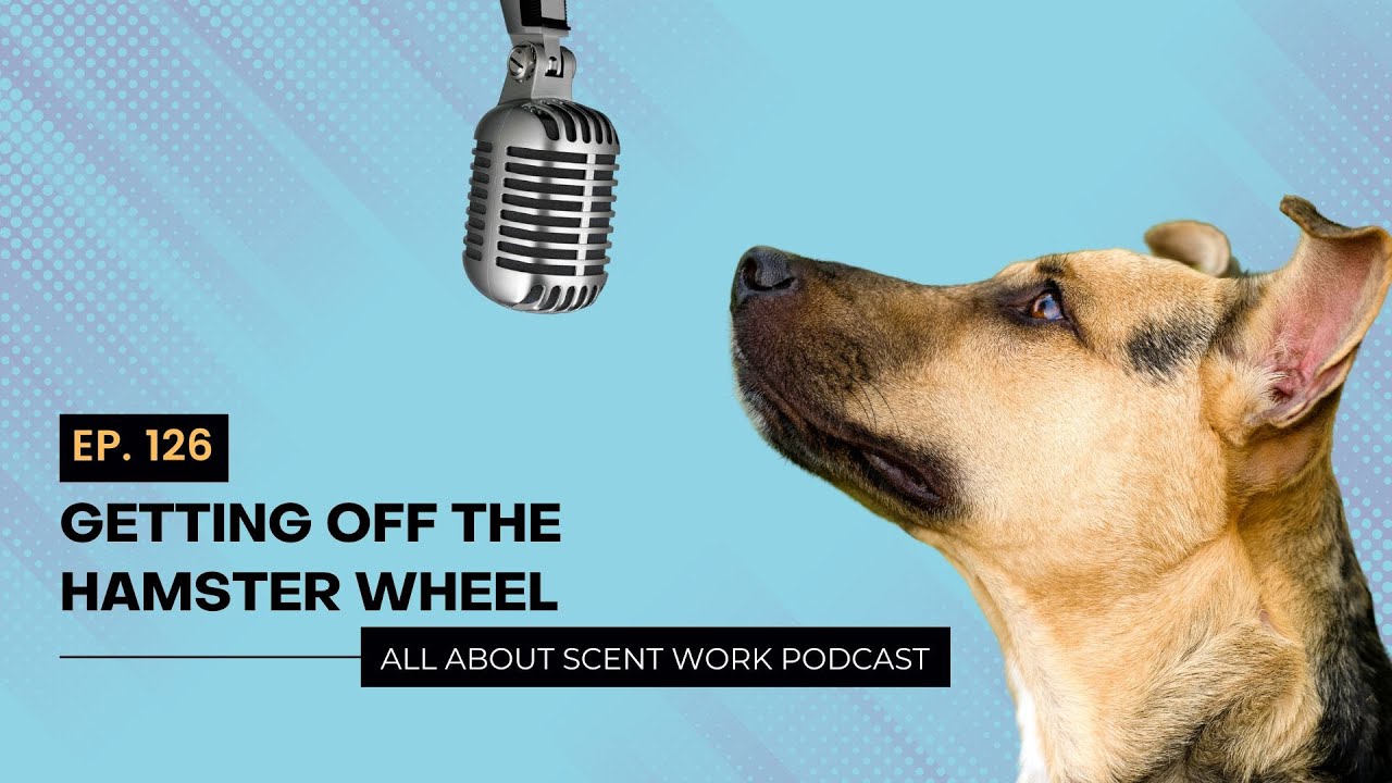Ep. 126: Getting Off The Hamster Wheel - YouTube