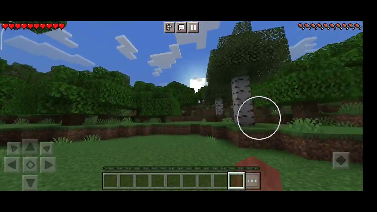 I tried the HEROBRINE seed with my brother in minecraft - YouTube