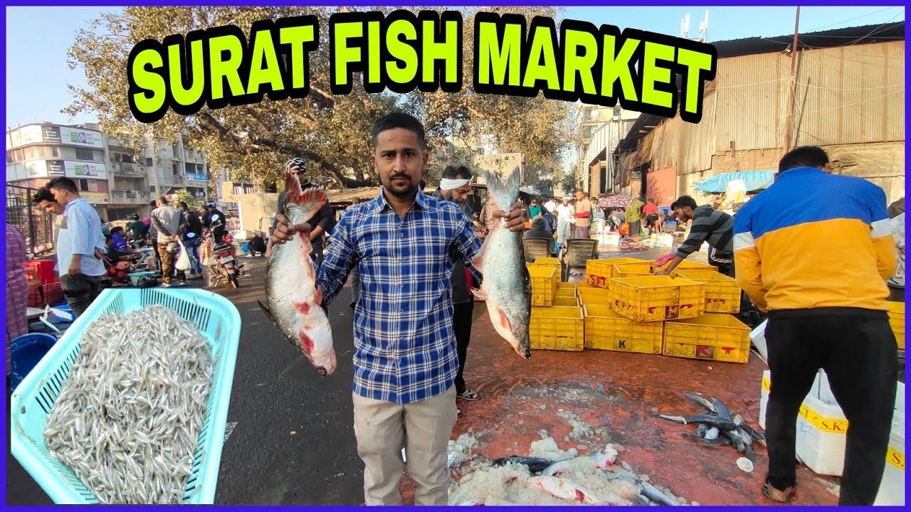 SURAT biggest WHOLSALE FISH MARKET||सूरत का सबसे बड़ा मच्छी मार्केट ...