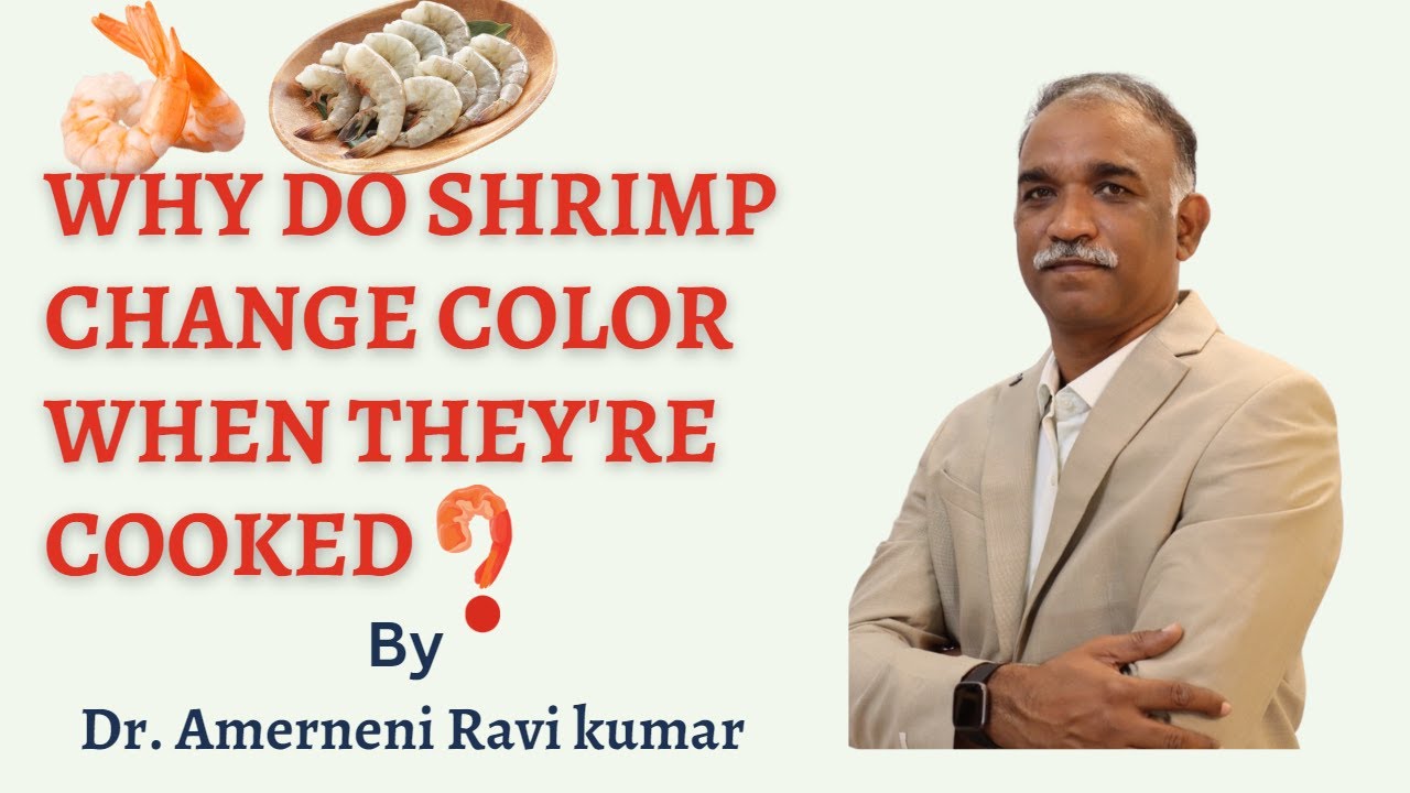 Why Do Shrimp Change Color When They're Cooked? - YouTube