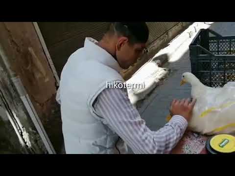 Eminem Ft. Hiko Baba