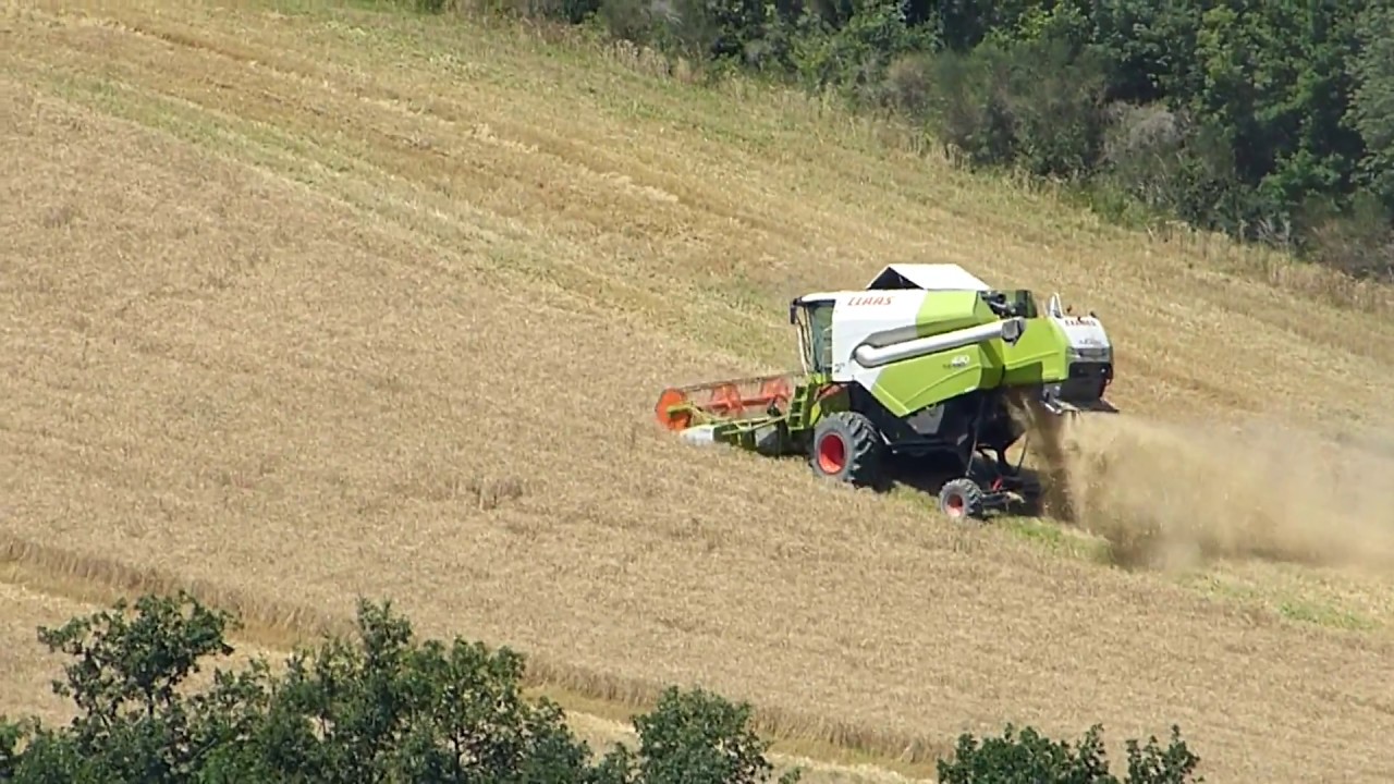 Harvesting on the hills of Umbria Italy 2018 - YouTube