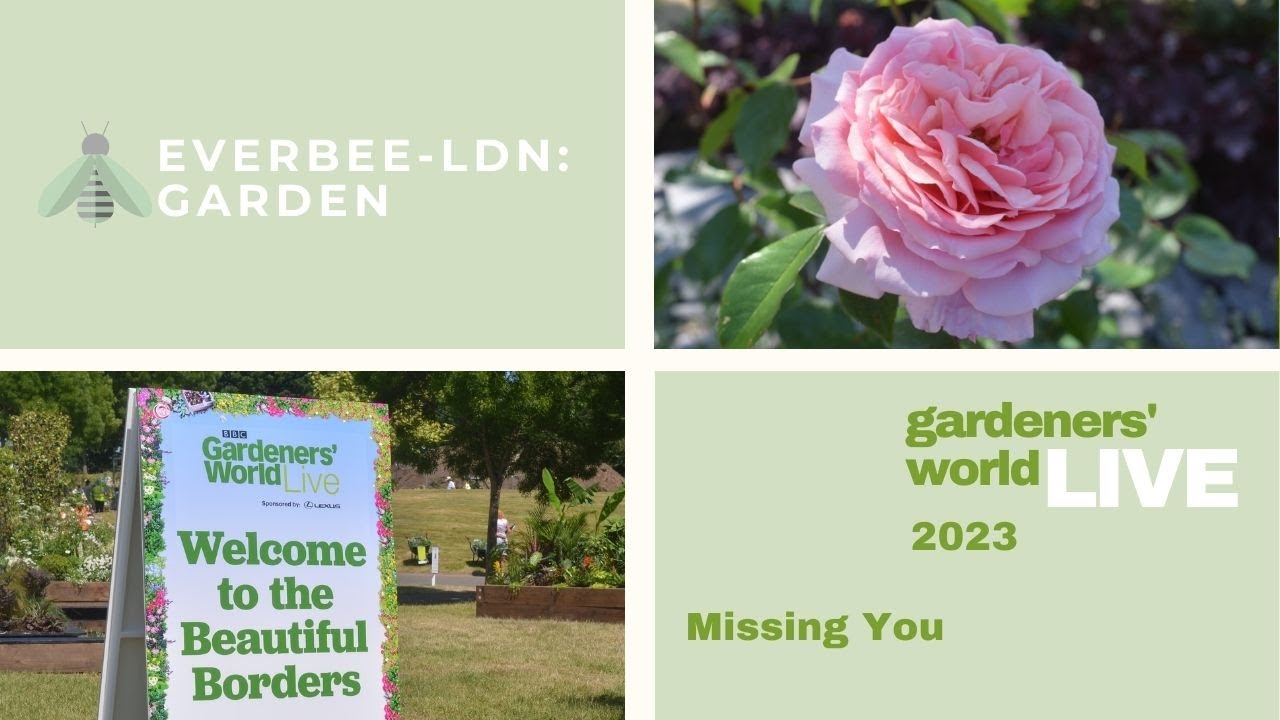 Gardeners' World Live - Missing You - Border Garden | EVERBEE - Ldn ...