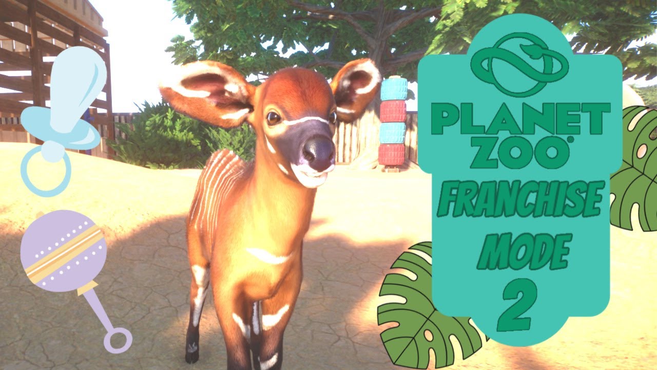 Baby Animals Galore // Let's Play Planet Zoo Franchise Mode - YouTube