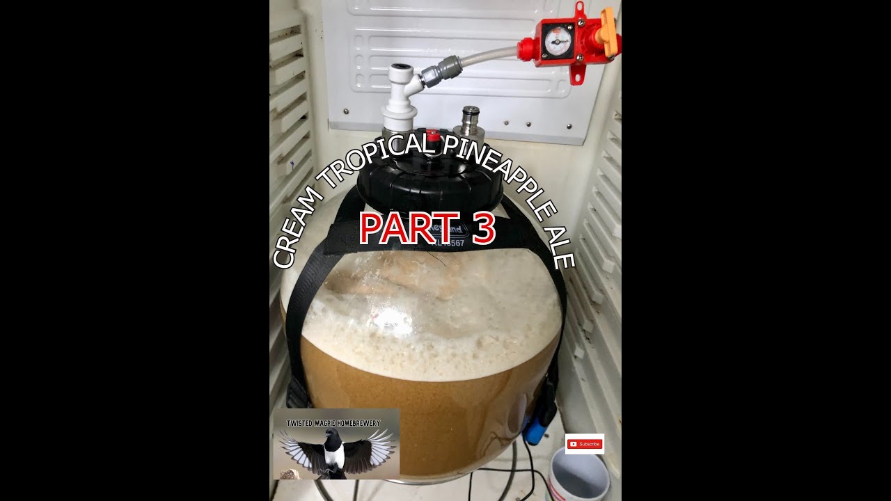 Cream Tropical Pineapple Ale PART 3. - YouTube