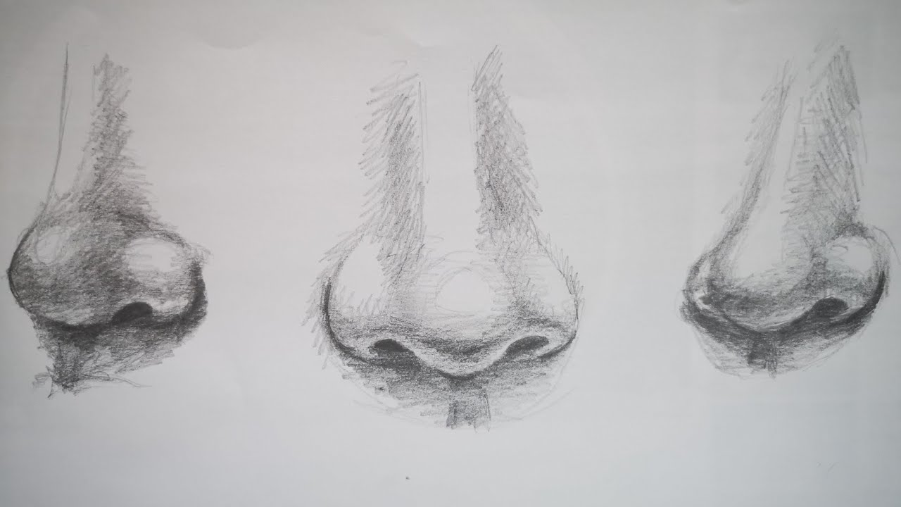 How to Draw Nose in 3 Angles; Front, Side and 3 Quarters - YouTube