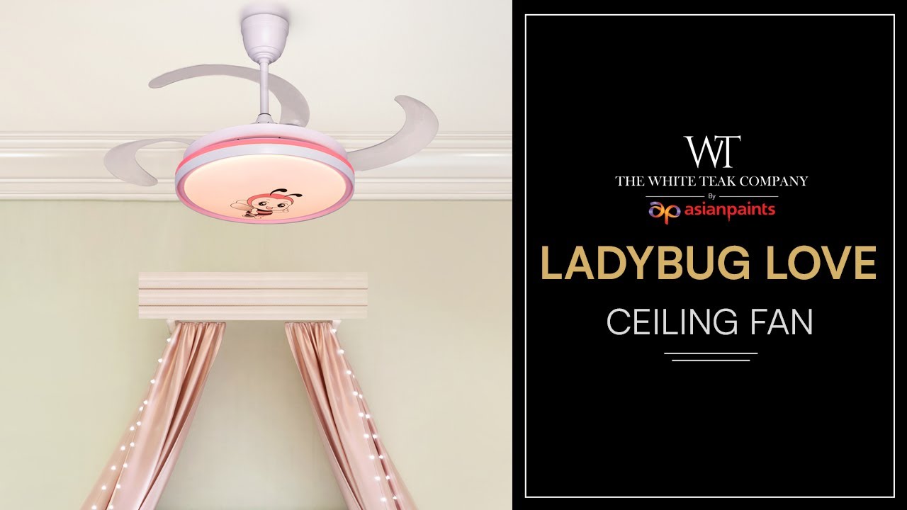 Ladybug Love Ceiling Fan | White Teak - YouTube