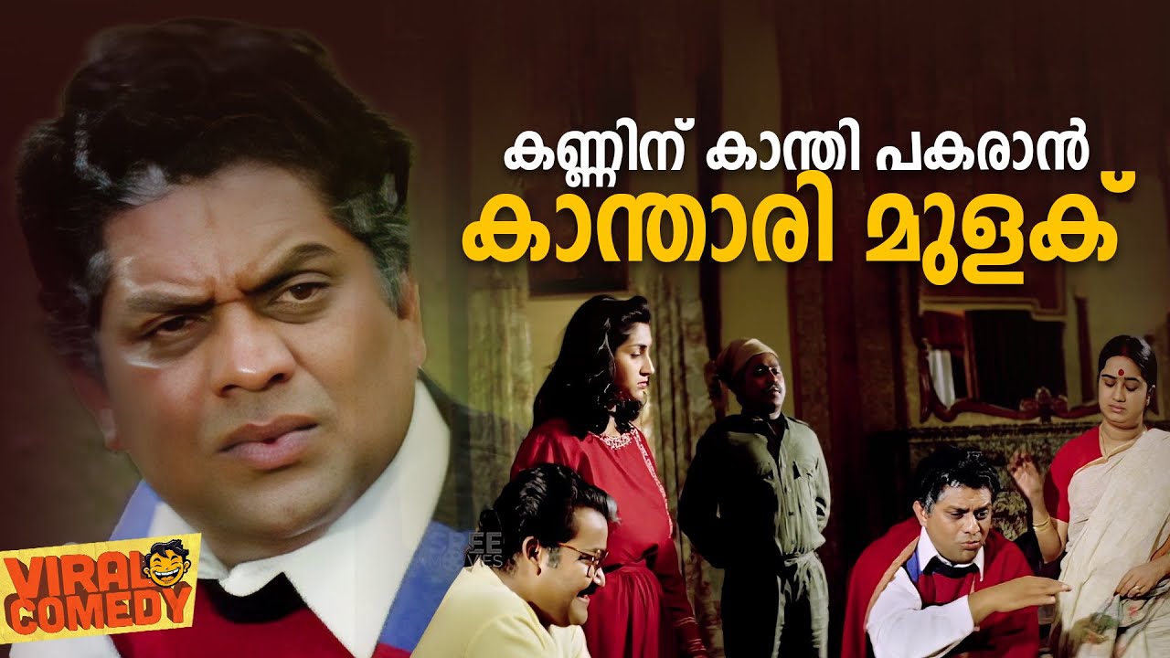 കണ്ണിന് കാന്തി പകരാൻ കാന്താരി മുളക് | Kalippattam Movie Comedy Scenes ...