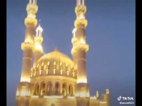 Status ucun dini video