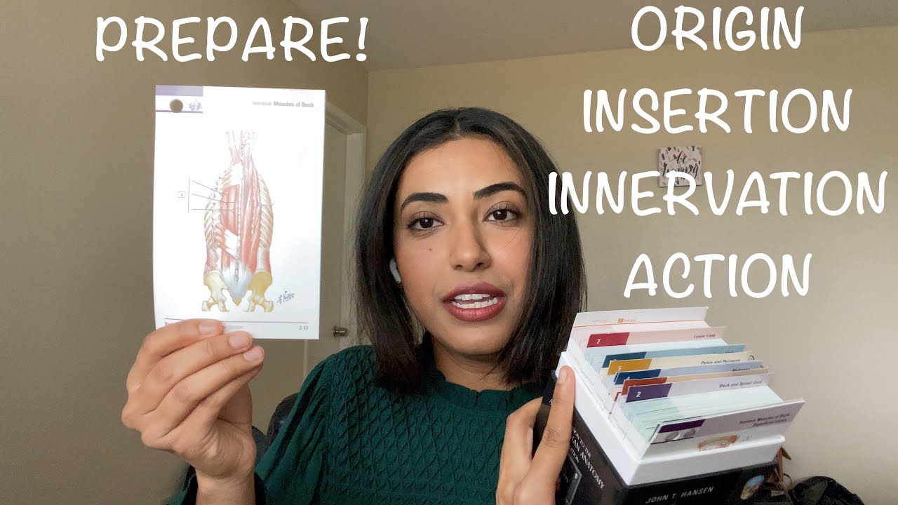 HOW TO PREPARE FOR PHYSICAL THERAPY SCHOOL | PT SCHOOL PREP - YouTube